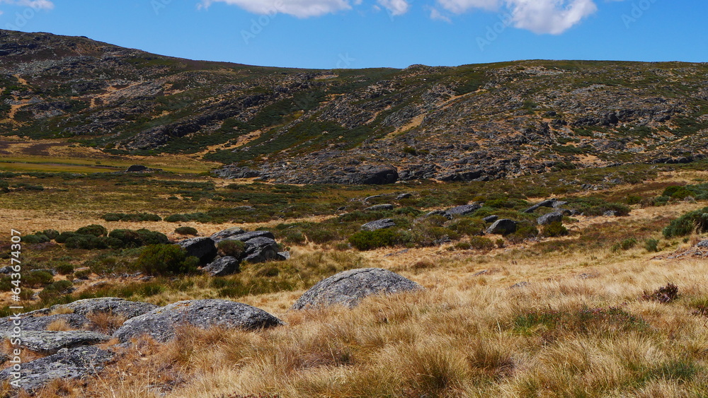 Zones montagneuses rocheuses avec de la mousse, des herbes sèches ...