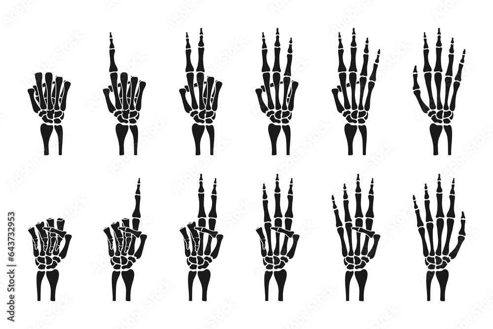 Skeleton bone hand shows a number with its fingers. Collection of hand ...