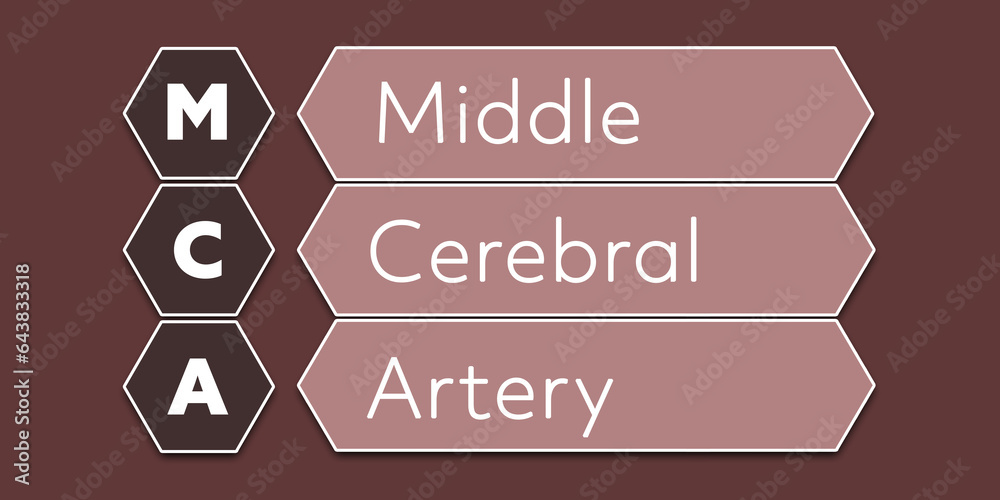 MCA Middle Cerebral Artery. An Acronym Abbreviation of a common Medical ...