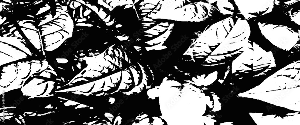 Black and gray transparent skeletonized tree leaves on a white ...