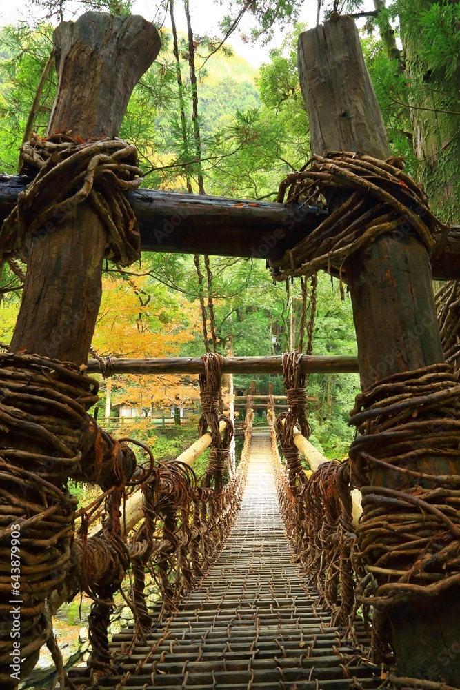 Kazura Bridge in Iya and autumn leaves , Japan,Tokushima Prefecture ...