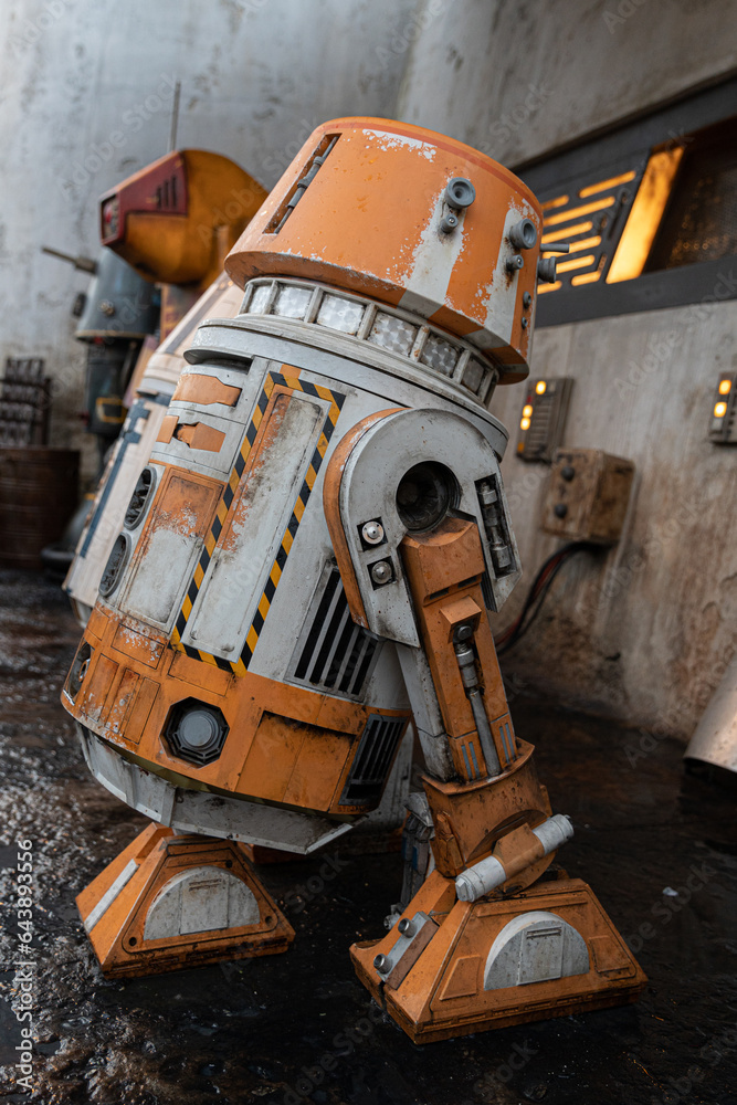 Droids at Disney's Star Wars: Galaxy's Edge Theme Park at Walt Disney ...