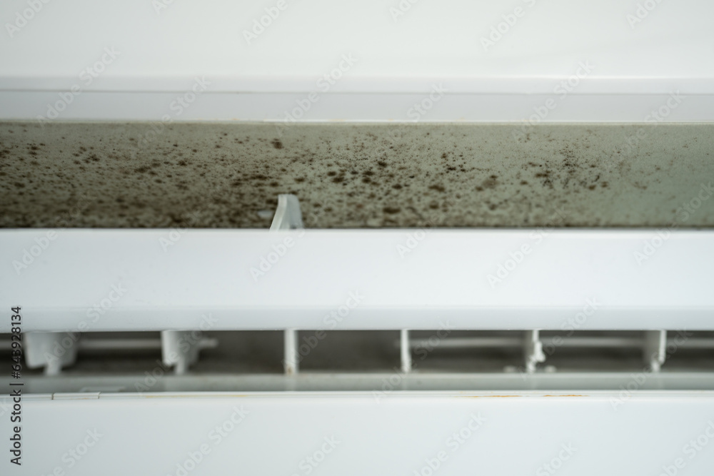 Mold in air conditioner, untimely cleaning late maintenance in humid ...
