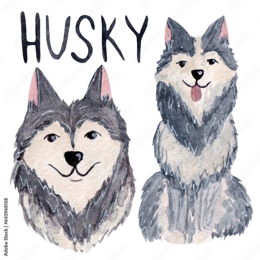 Watercolor set, cartoon husky and text isolated on white background ...