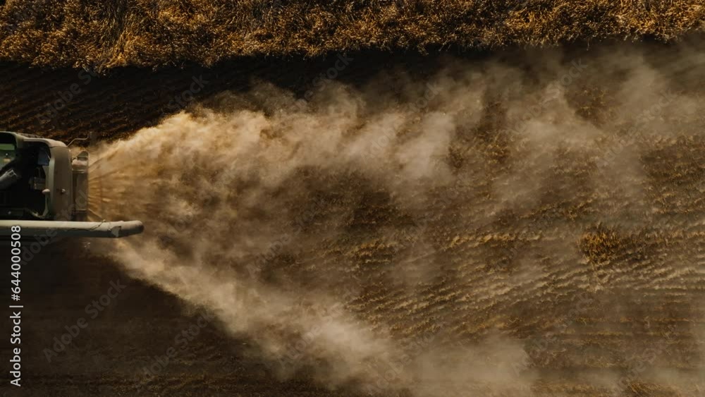 Combine harvester with straw chopper works in the wheat field ...