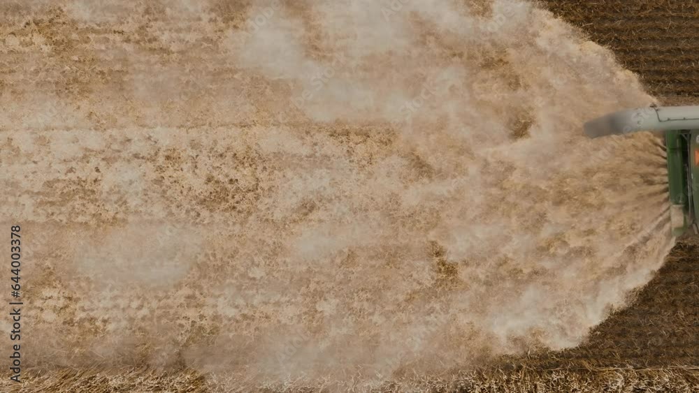 Combine harvester with straw chopper works in the wheat field ...