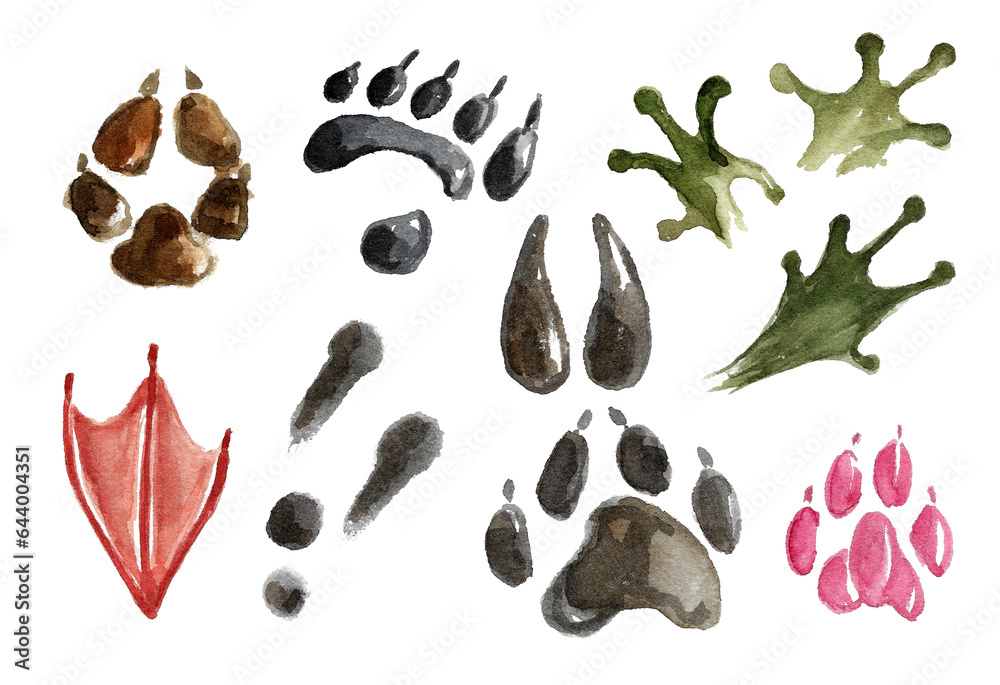 Set of footprints and paws of wild and domestic animals. Colored tracks ...