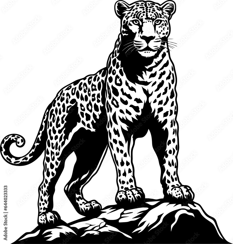 Zoo. African fauna. Puma, leopard, wild cat, coguar, mountain lion ...