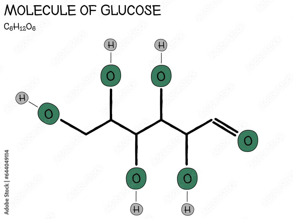Poster Large and detailed infographic of the molecule of Glucose – Wall ...