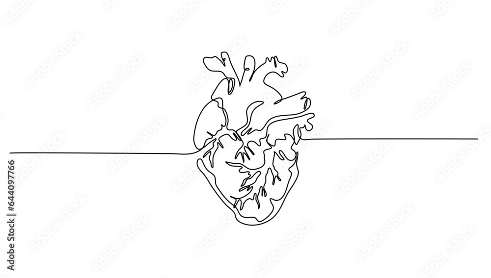 continuous line art anatomical human heart. Healthy medicine concept ...
