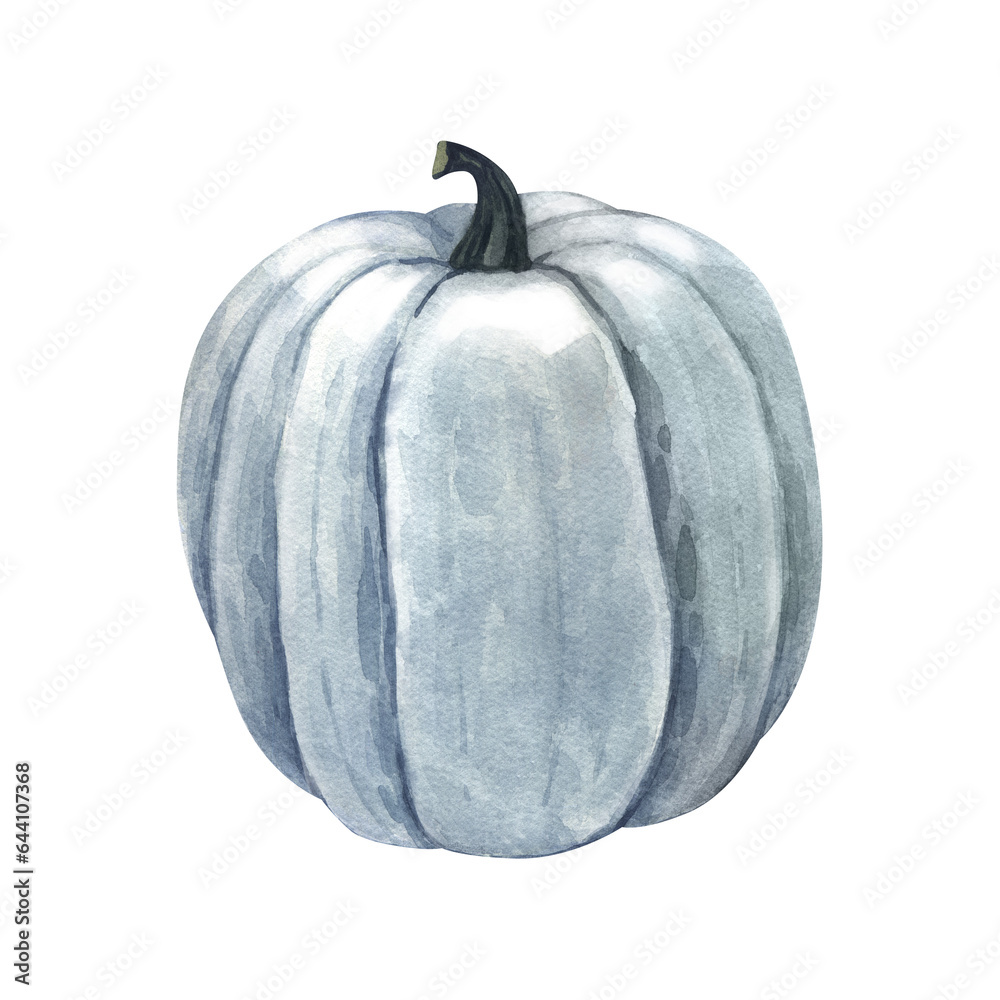 Watercolor realistic whole fresh blue pumpkin. Hand-drawn illustration ...