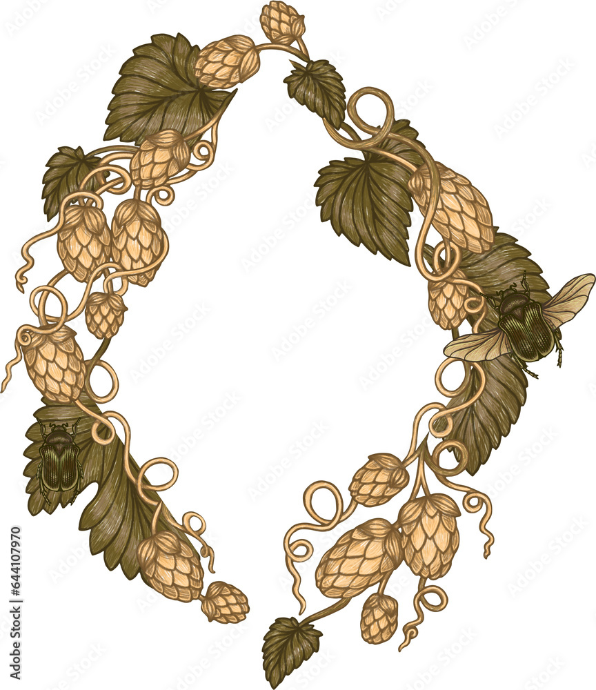 Vintage botanical frame of flowering hops plant with leaves and curls ...