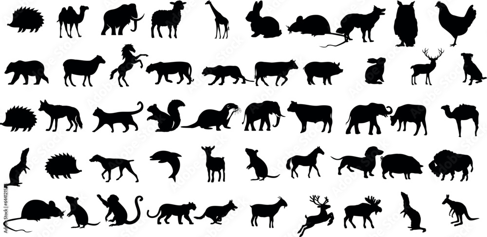 50 mammals silhouette vector illustrations. These meticulously crafted ...