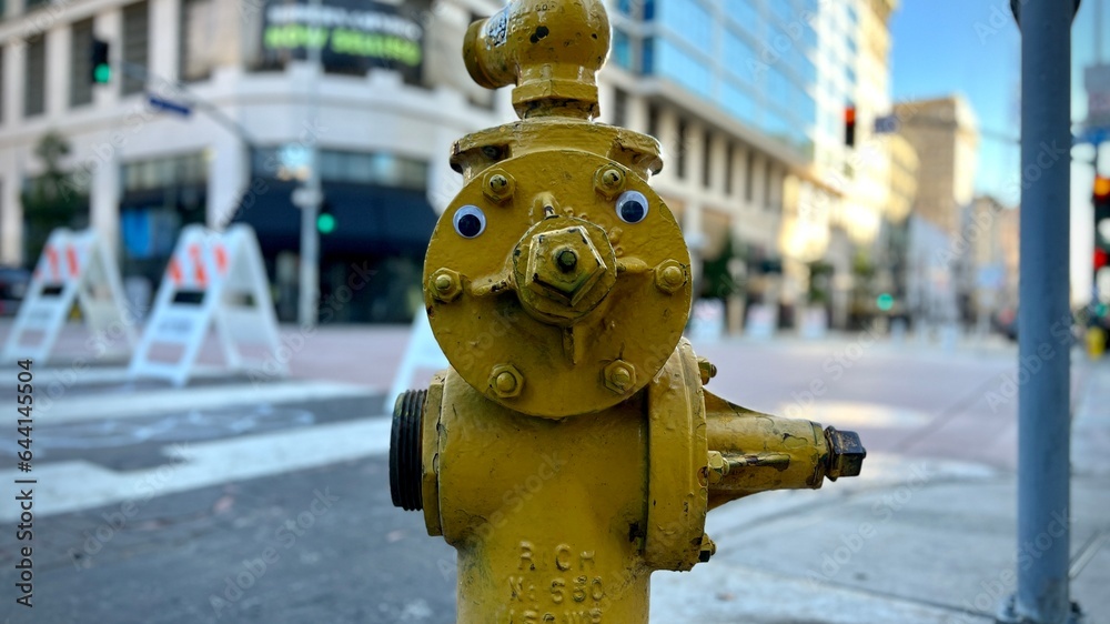 Wide, landscape photo of yellow fire plug (fire hydrant) with googly ...
