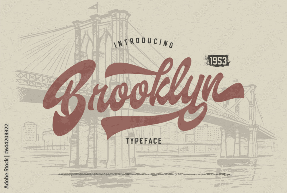 Brooklyn typeface. Original Brush Script Font. Vector Illustration ...