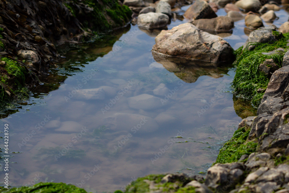 Water pollution, rock pool on English beach full of polluted water and ...