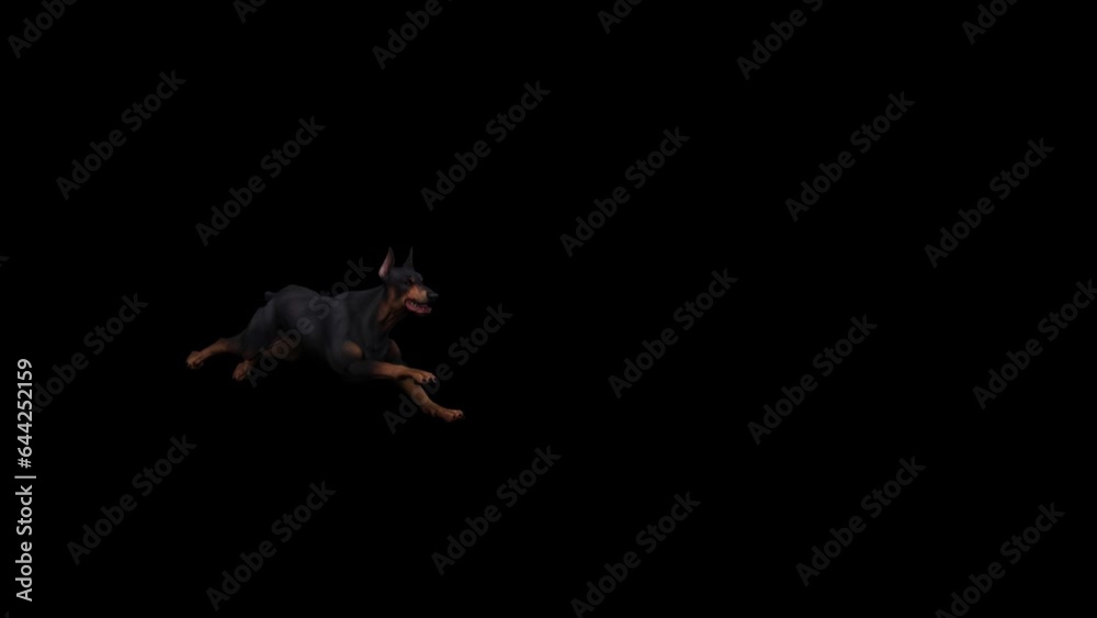 3D realistic hound fast running back tail view loop animation alpha ...