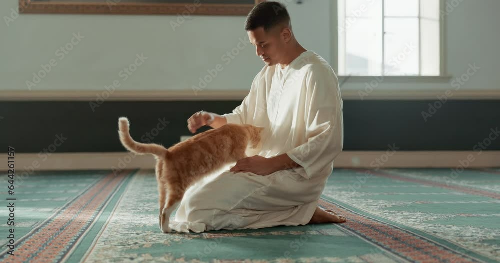 Cat, islamic and man with pet in a mosque for praying, peace and ...