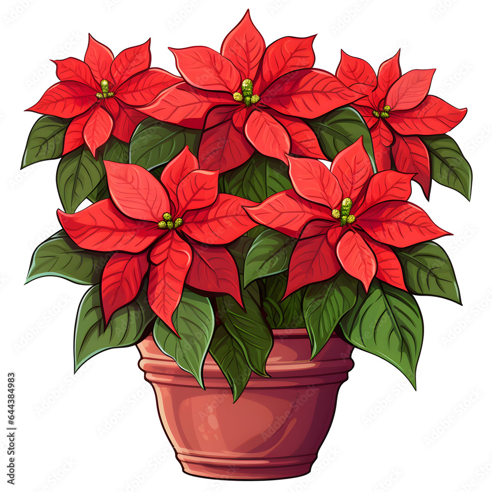 cartoon poinsettia plant clipart, transparent background Stock ...
