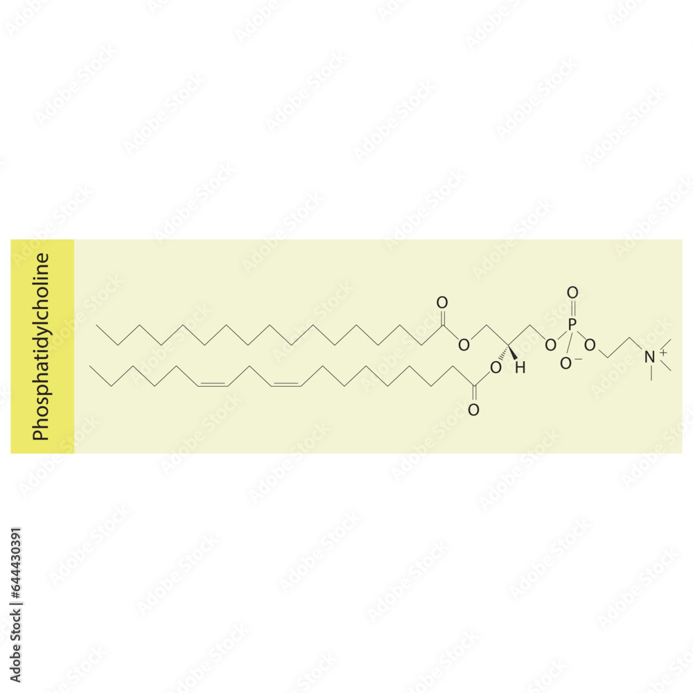 Structure of Phosphatidylcholine biomolecule, skeletal structure ...