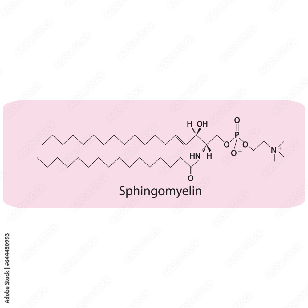 Structure of Sphingomyelin biomolecule, skeletal structure diagram on ...