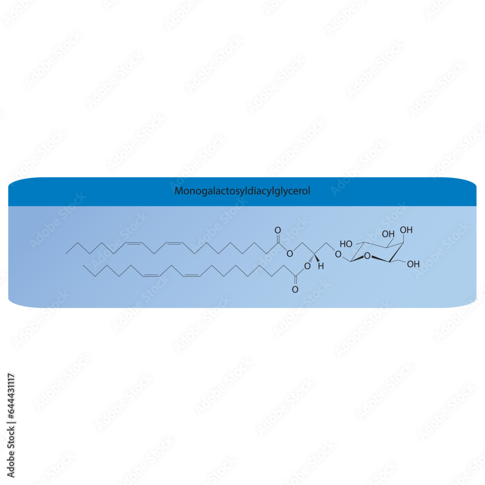 Monogalactosyldiacylglycerol (MGDG) molecular strcuture vector ...