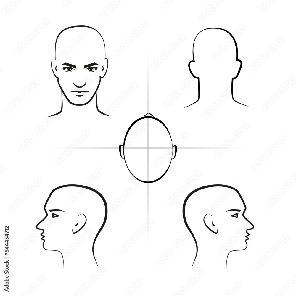 Diagram of man head for hairstylist. Manual for beauty salon, lesson ...