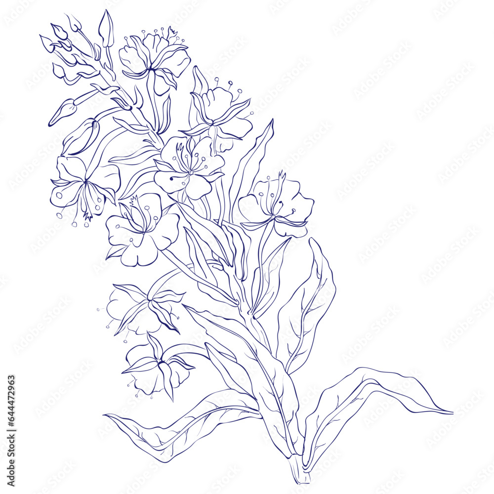 Willow, Chamerion angustifolium, fireweed, great willow-herb, rosebay ...