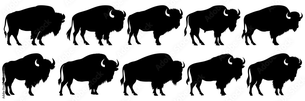 Bison buffalo silhouettes set, large pack of vector silhouette design ...
