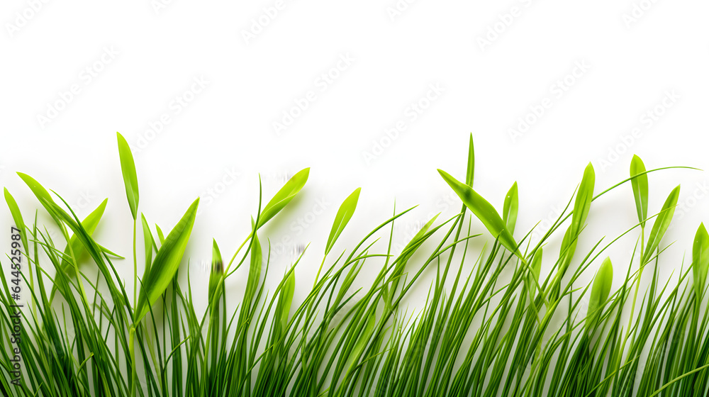 Vivid Photograph of Grass Blades Texture Overlay on White Background ...