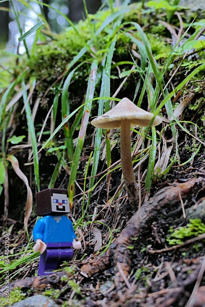 LEGO Minecraft figure of Steve walking next to mushroom, possibly of ...