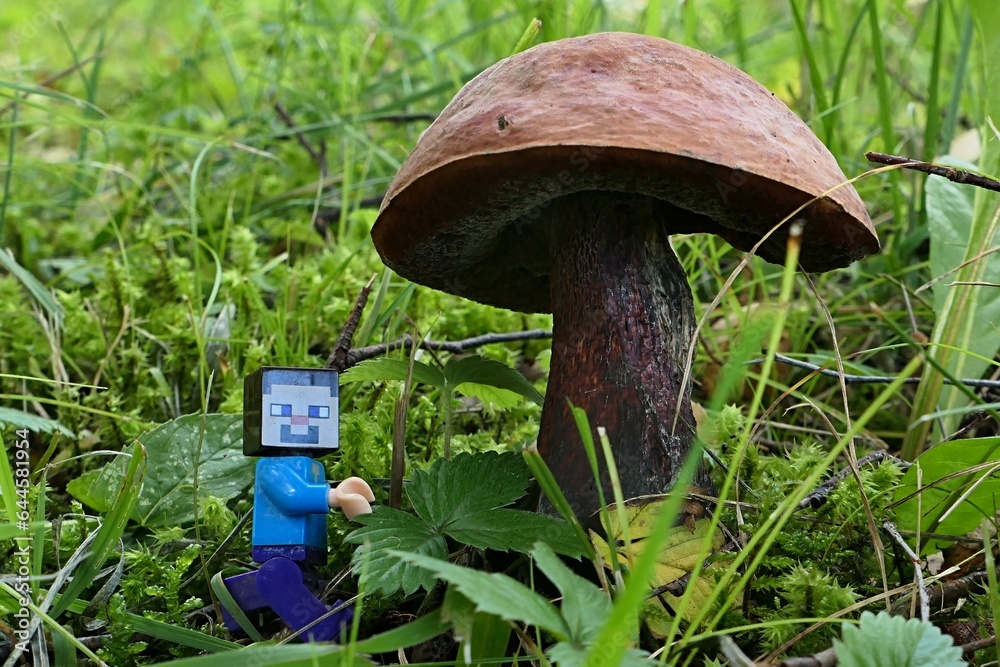 LEGO Minecraft toy figure of Steve found half decaying, rotten mushroom ...