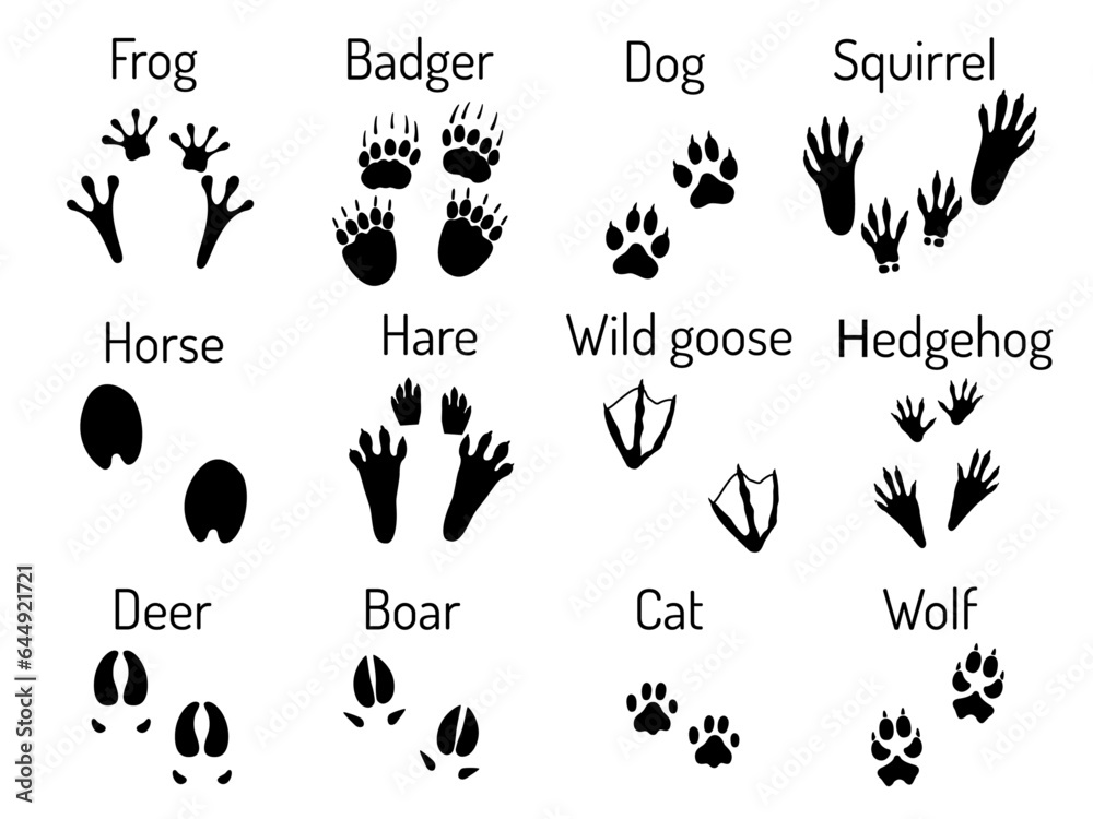 Traces of wild and domestic animals. Paw prints of a frog, badger, dog ...