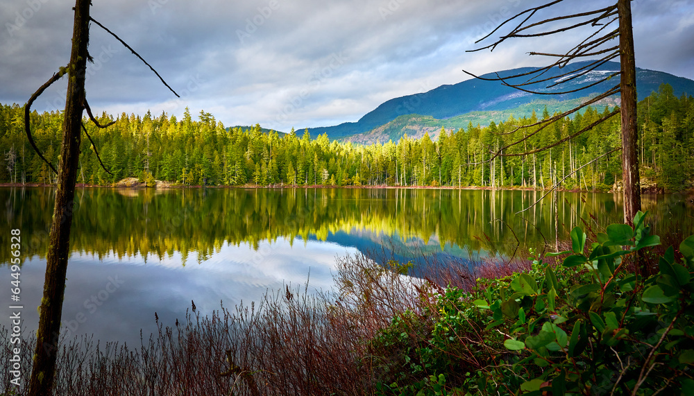 Beautiful forest Brown Lake. Scenic west coast rainforest. Hiking Trail ...