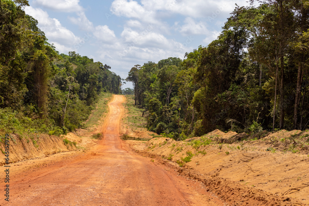 Driving on the famous earth road Transamazonica towards Santarém ...