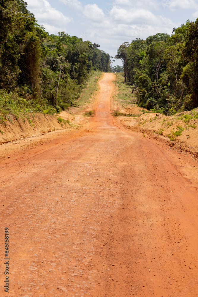Driving on the famous earth road Transamazonica towards Santarém ...