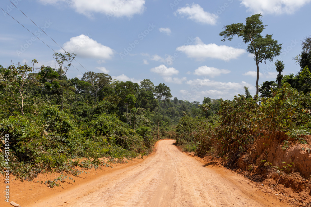 Driving on the famous earth road Transamazonica towards Santarém ...