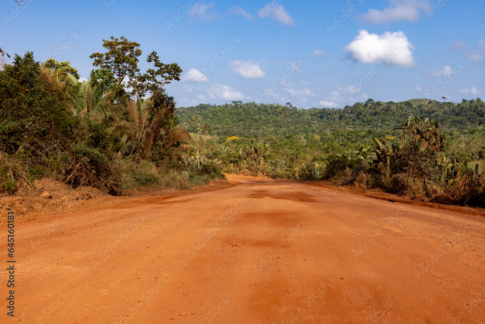 Driving on the famous earth road Transamazonica towards Santarém ...