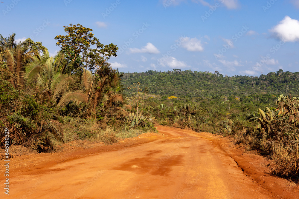 Driving on the famous earth road Transamazonica towards Santarém ...