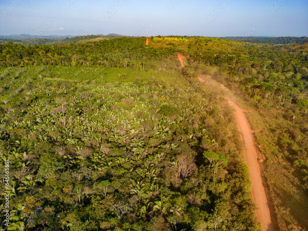 Drone shot of the famous earth road Transamazonica towards Santarém in ...