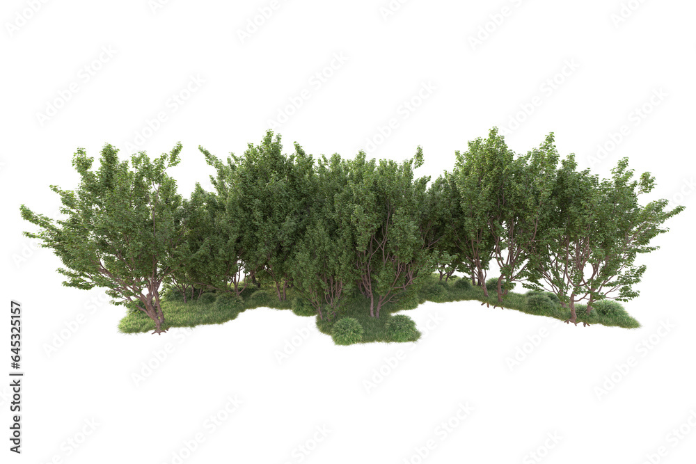 Realistic forest isolated on transparent background. 3d rendering ...