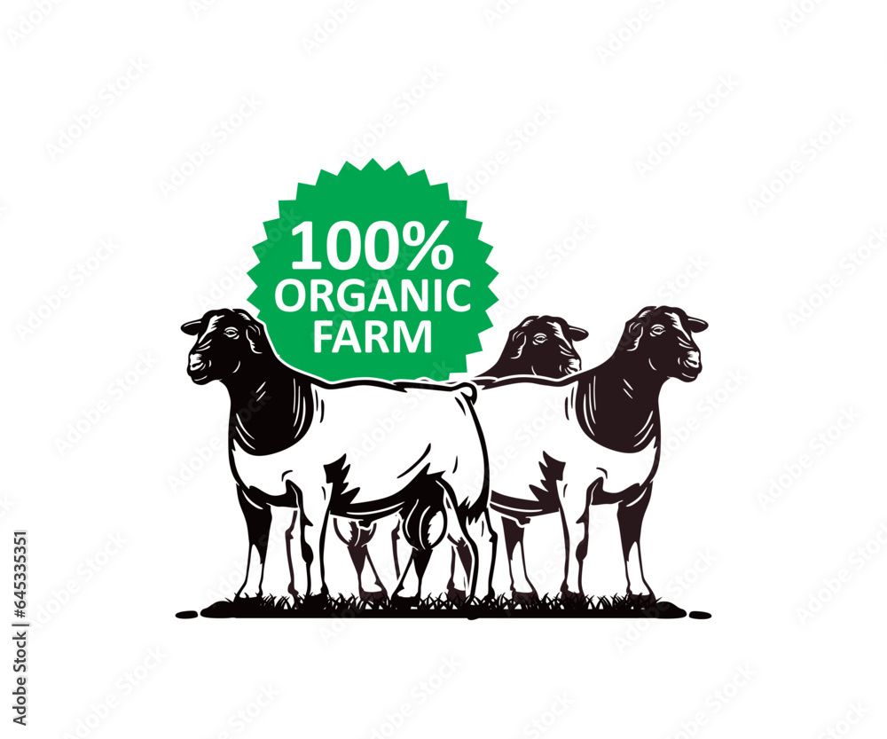 BLACK HEAD DORPER SHEEP LOGO, silhouette of great sheep standing in the ...