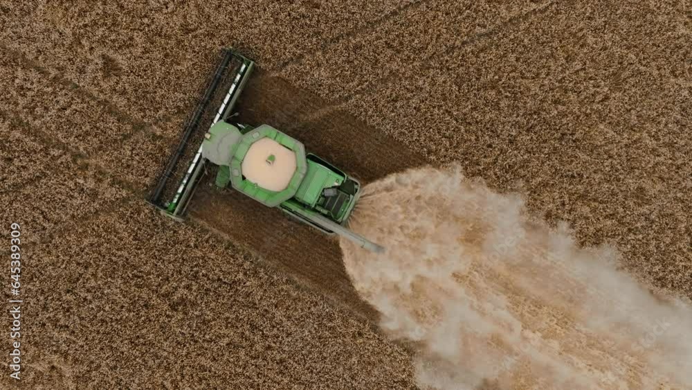 Combine harvester with straw chopper works in the wheat field ...