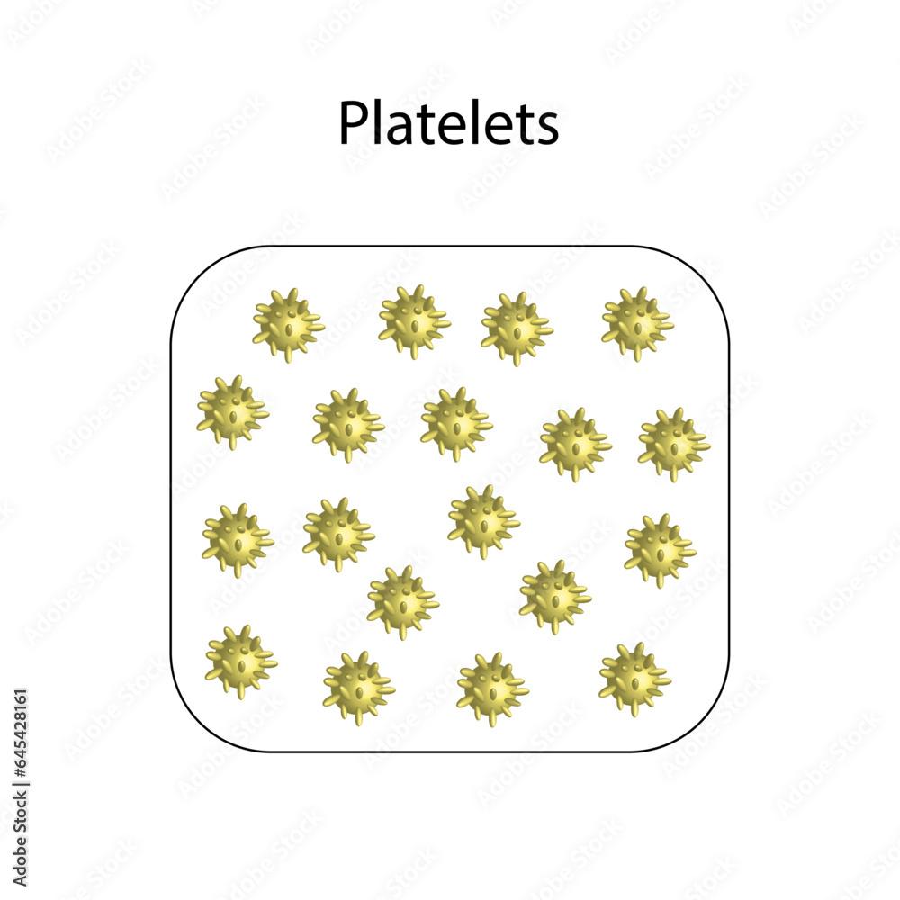 Platelets, blood cells. Composition of blood. platelets, red and white ...