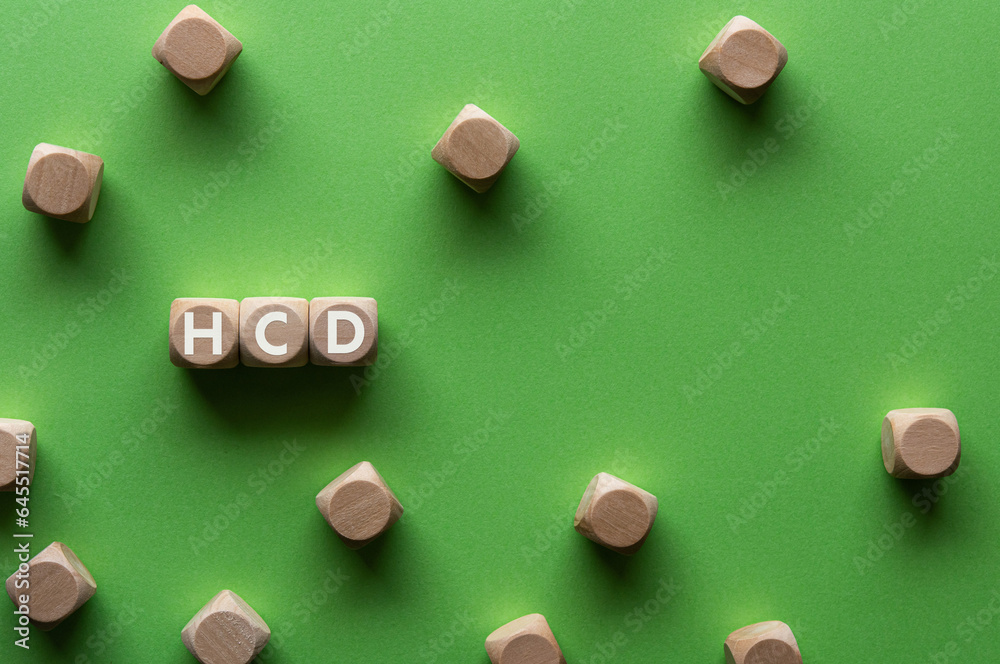 There is wood cube with the word HCD. It is an abbreviation for Human ...