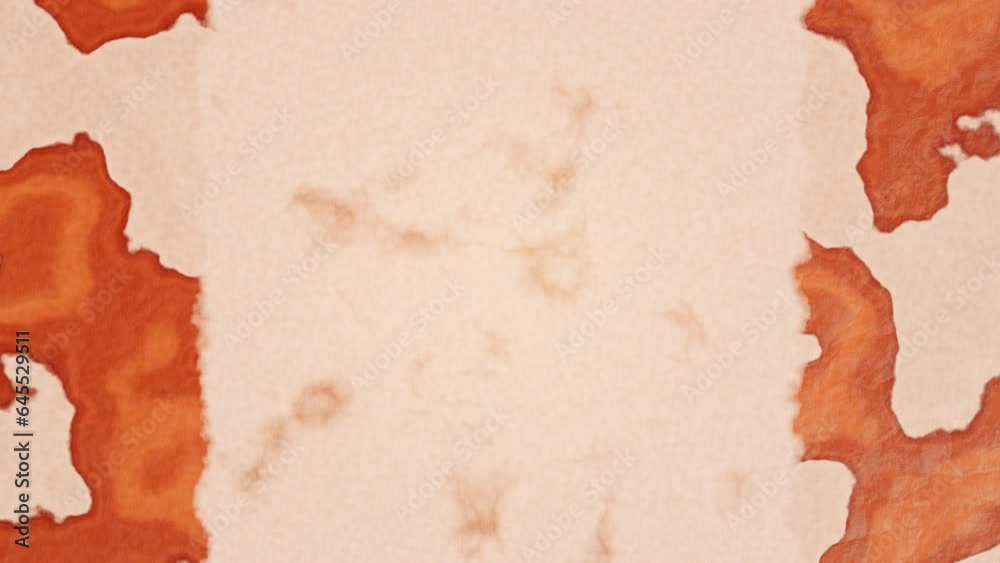 ancient map texture Searching for treasure. old map lines Pirate ...