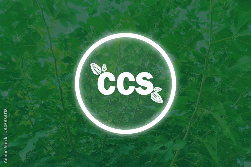 CCS acronym for Carbon Capture Storage words CCS in Circle with a Green ...