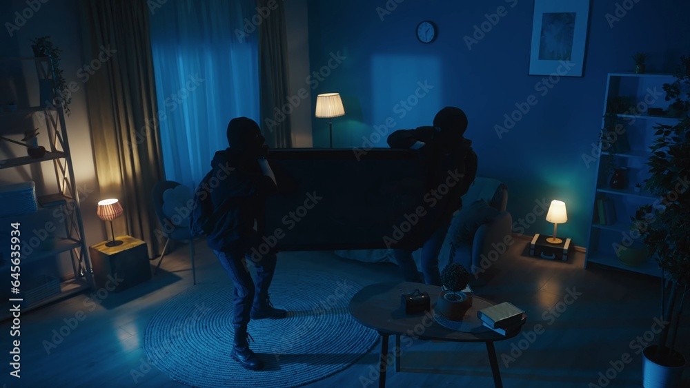 Shot capturing two burglars trying to bring a TV out of the apartment ...