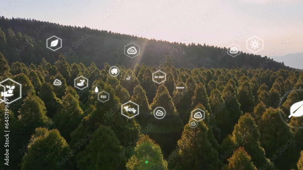 Save the planet earth day low CO2 emission. Aerial forest tree nature ...