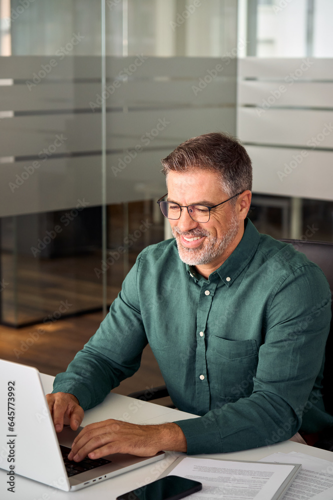 Smiling busy mid aged professional business man working on laptop at ...